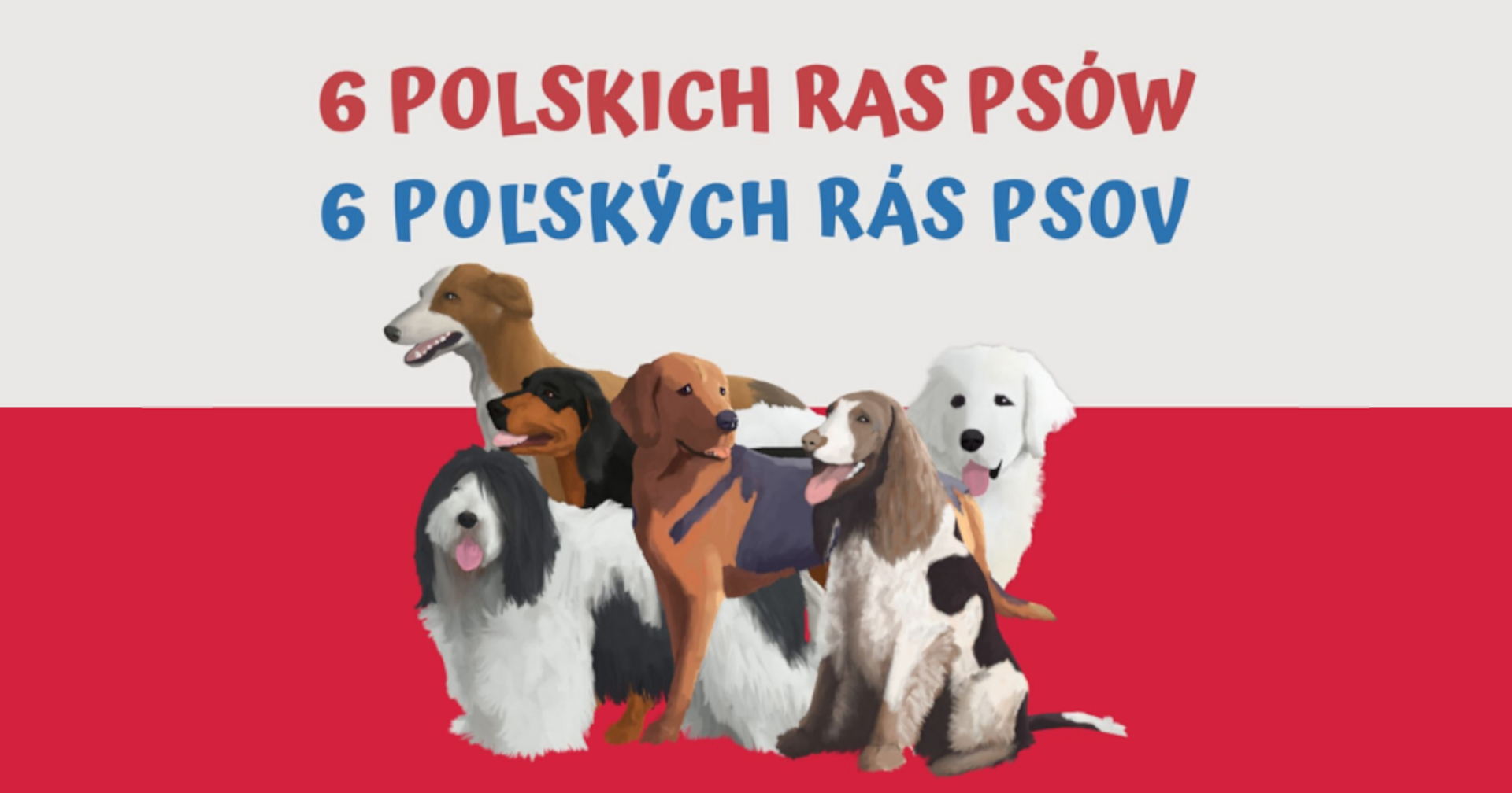 6 poľských plemien psov – popis a história – PolishSlovak